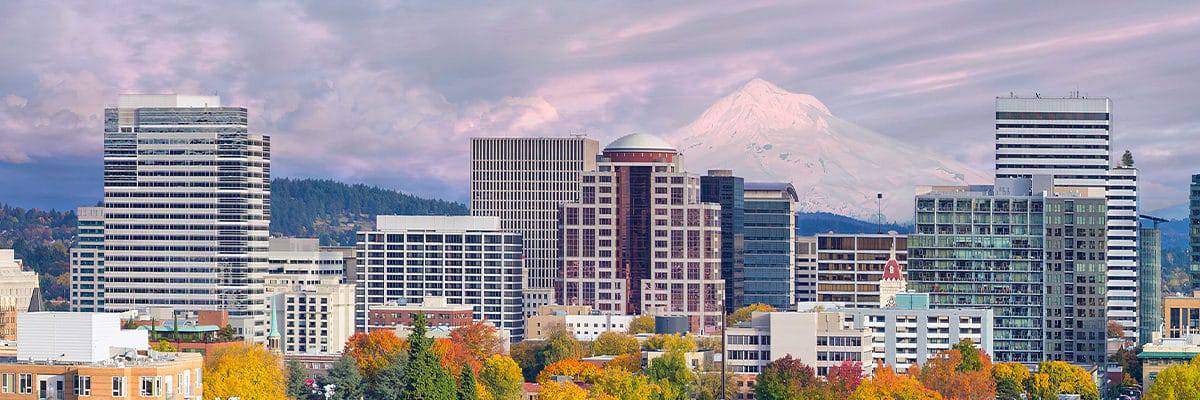 Portland OR Security Systems & Solutions